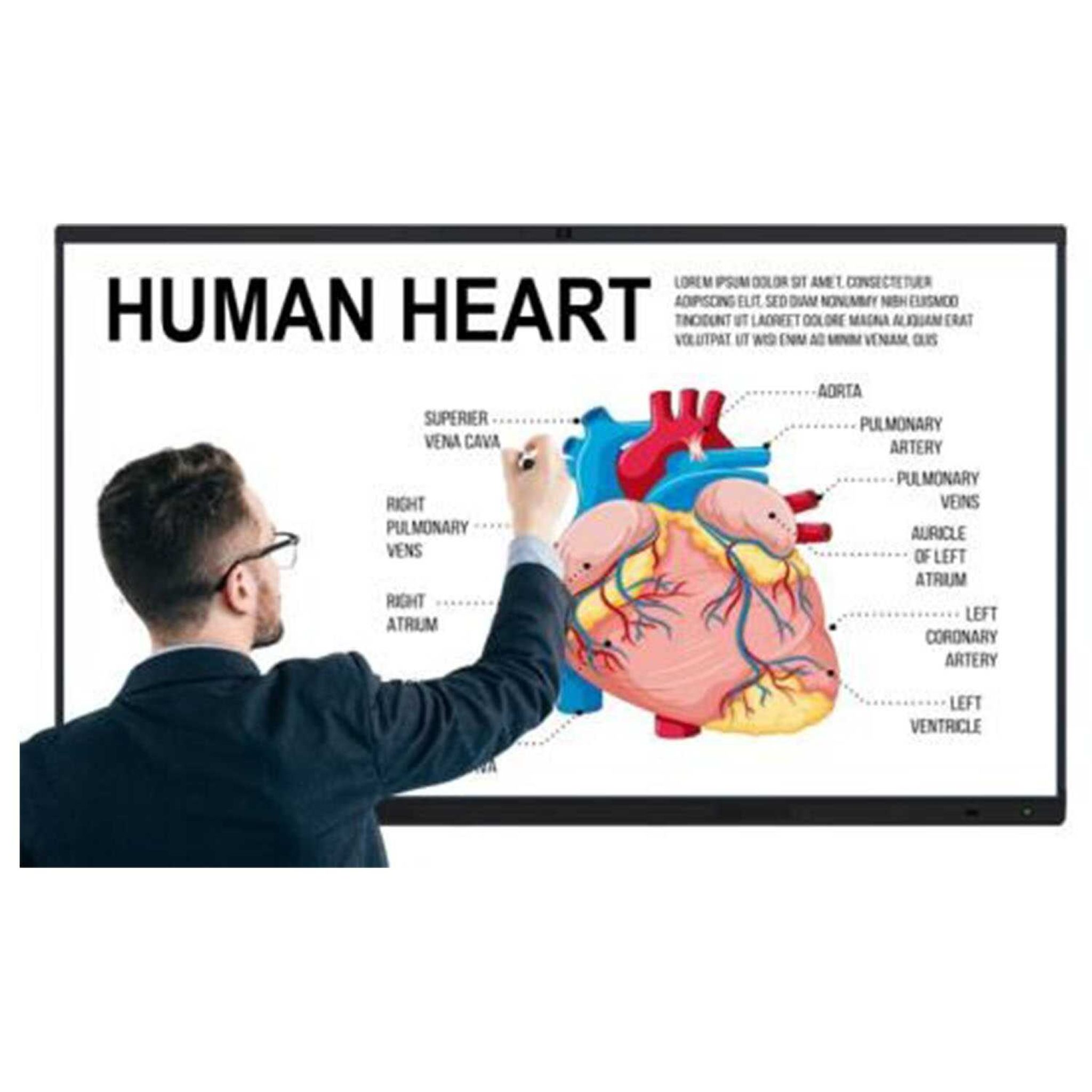 Buy Solitaire R-Series SLTR 98i 98 Inch Interactive Flat Touch Panel ...